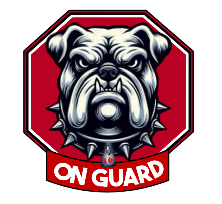 OnGuard Security Services – Your Trusted Security Services